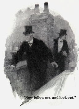 Raffles: The Gentleman Burglar, by Mary Reed.